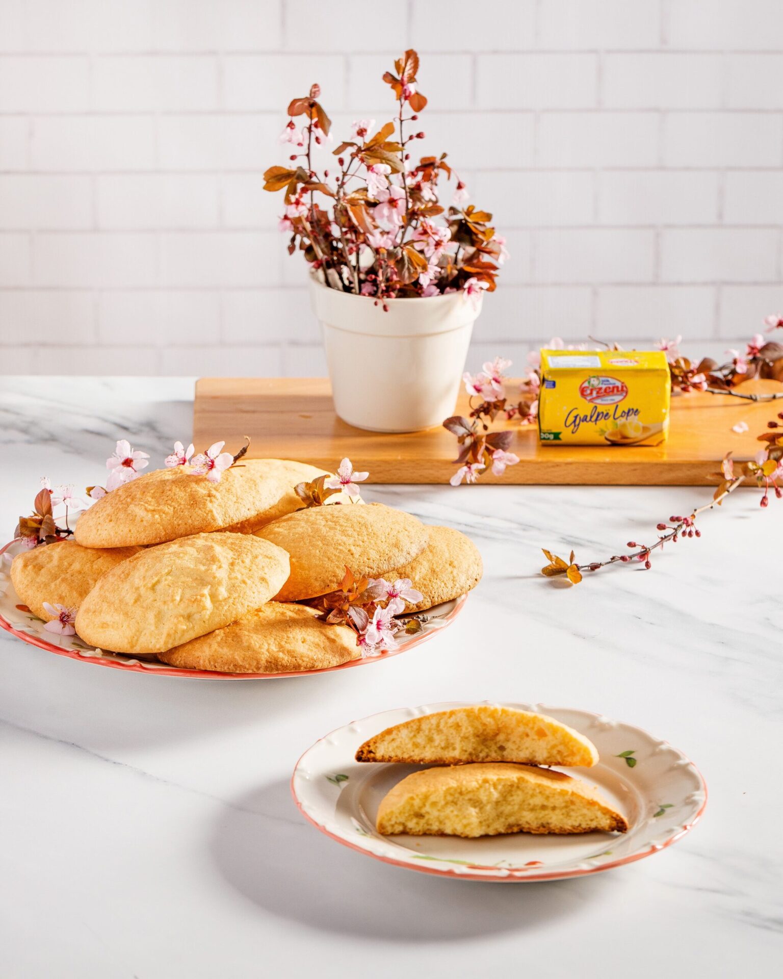 Erzeni – Quality dairy, Albanian tradition